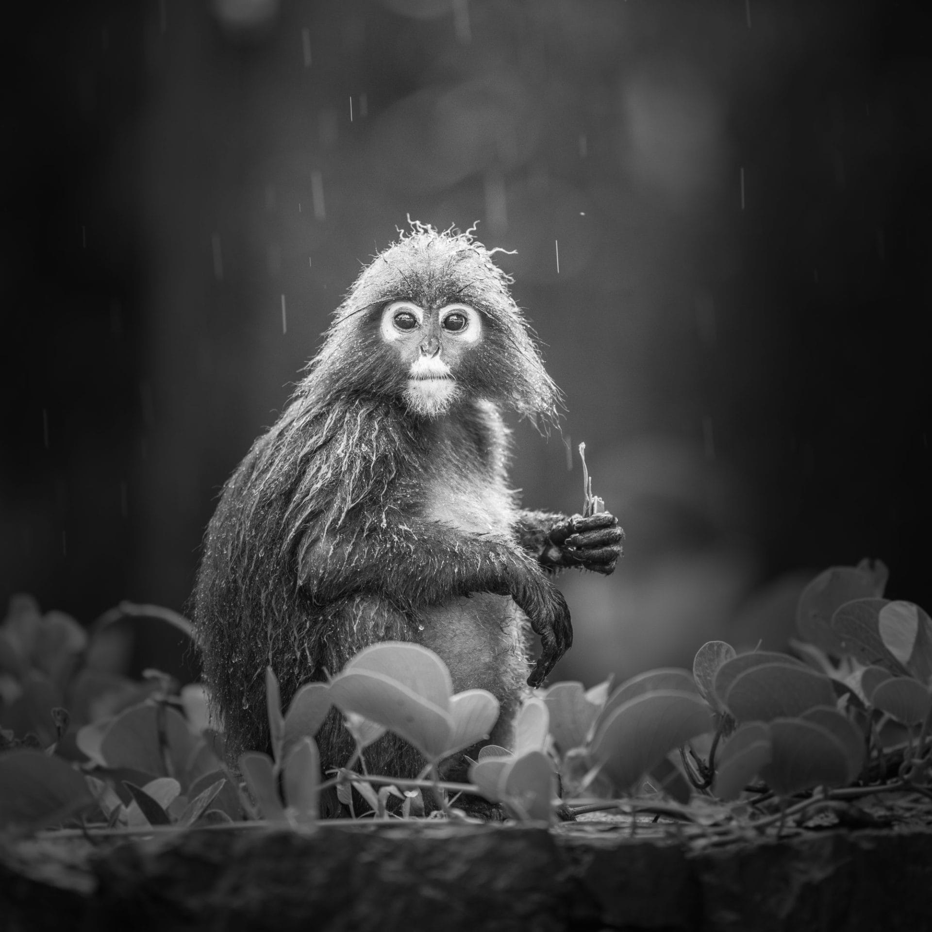 Helen Clarke – Art, Photography and Creativity