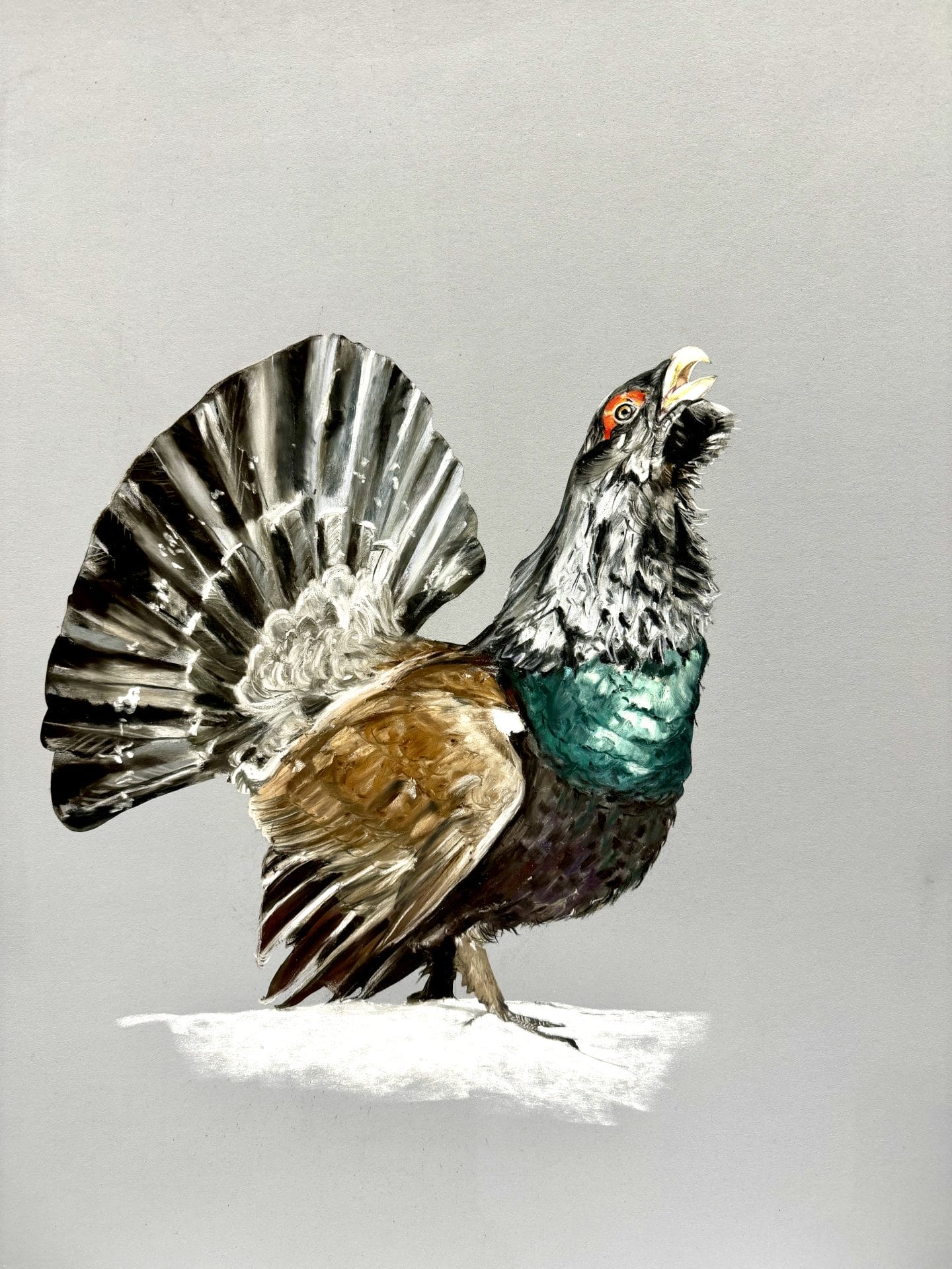 Helen Clarke – Art, Photography and Creativity